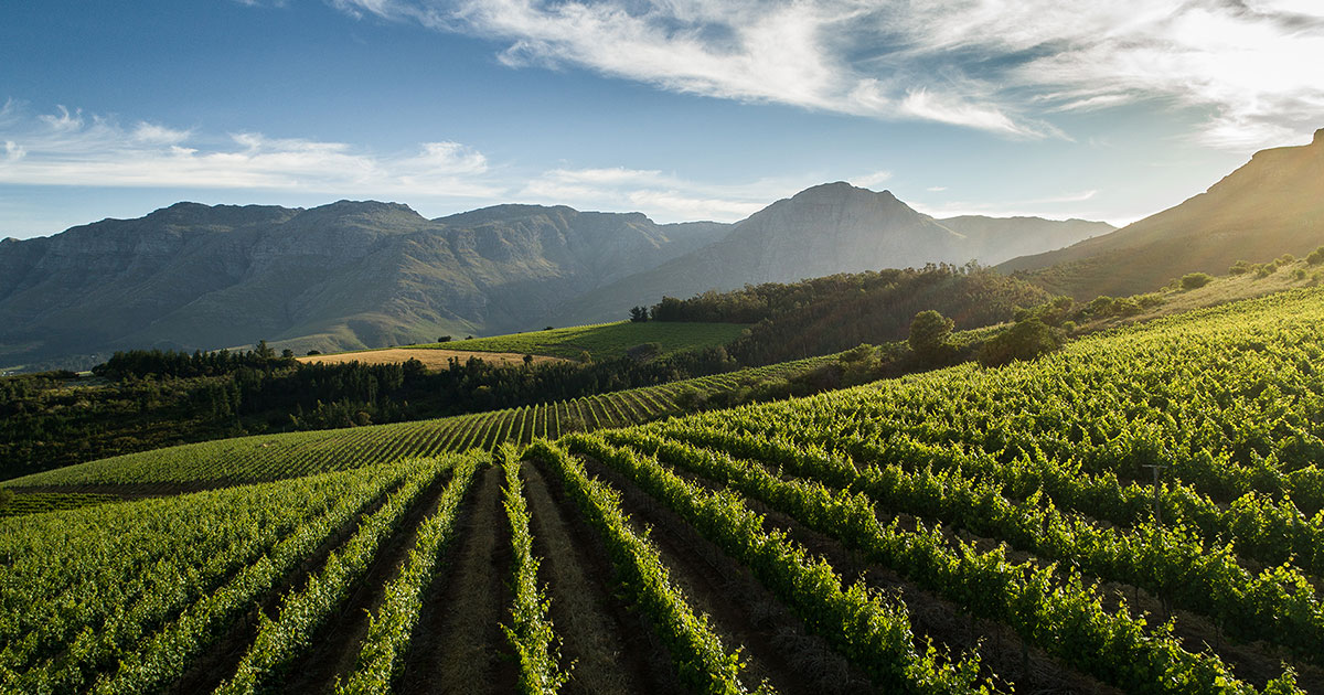 The Beverage Group - Excellence in business